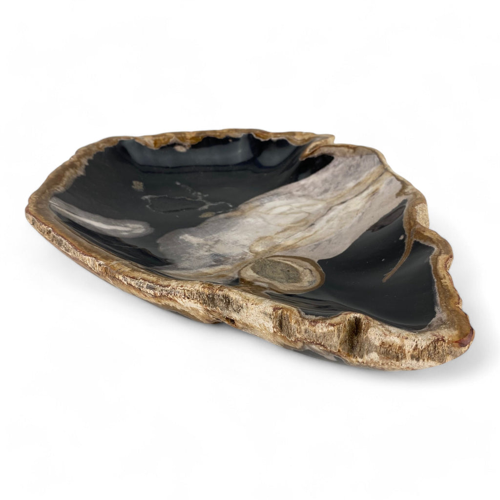 Petrified Wood Natural Stone Plate | Platter 330mm x 250mm x 50mm (242 ...