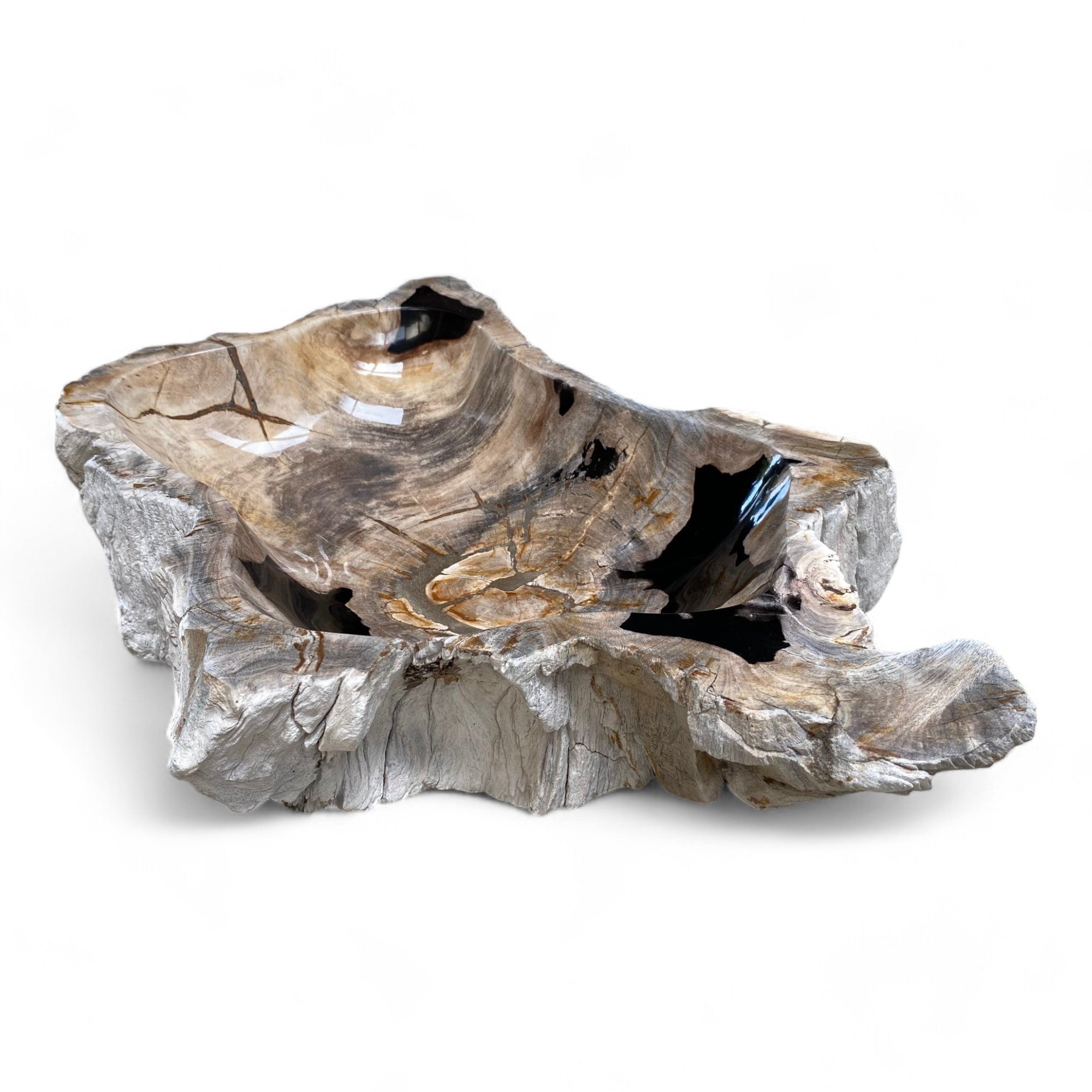 Luxury Petrified Wood Stone Bowl 570mm x 370mm x 100mm (2458) – StoneBase