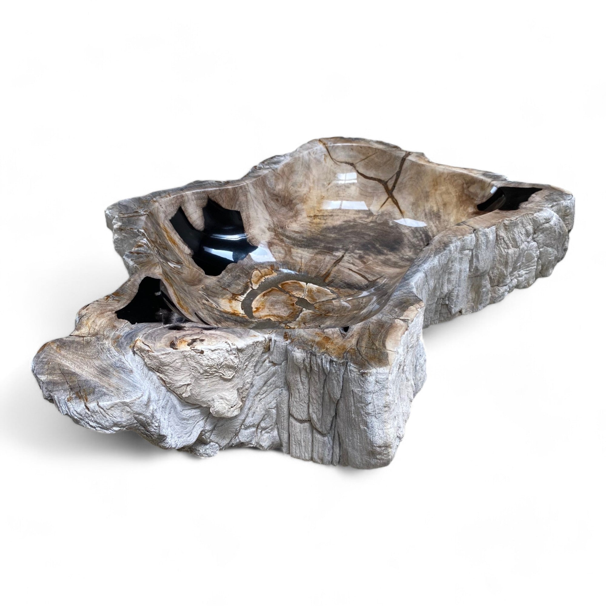 Luxury Petrified Wood Stone Bowl 570mm x 370mm x 100mm (2458) – StoneBase