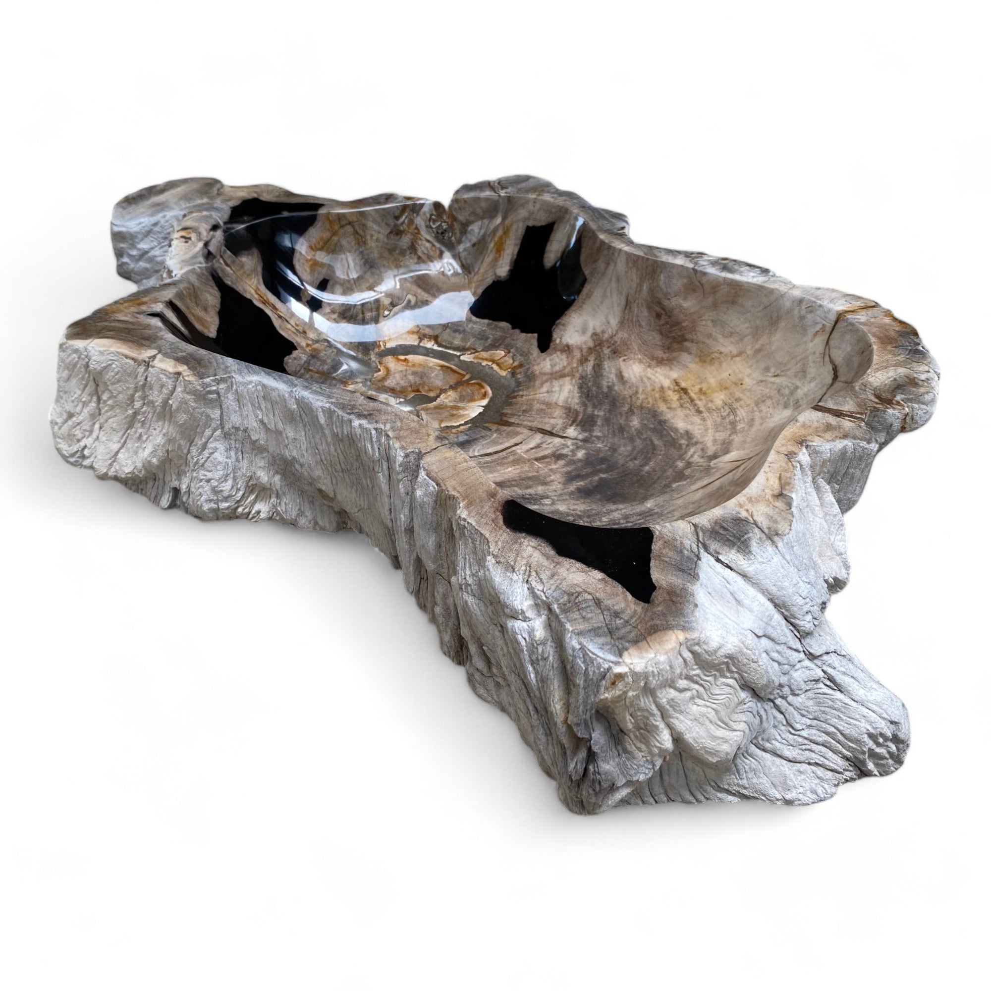 Luxury Petrified Wood Stone Bowl 570mm x 370mm x 100mm (2458) – StoneBase