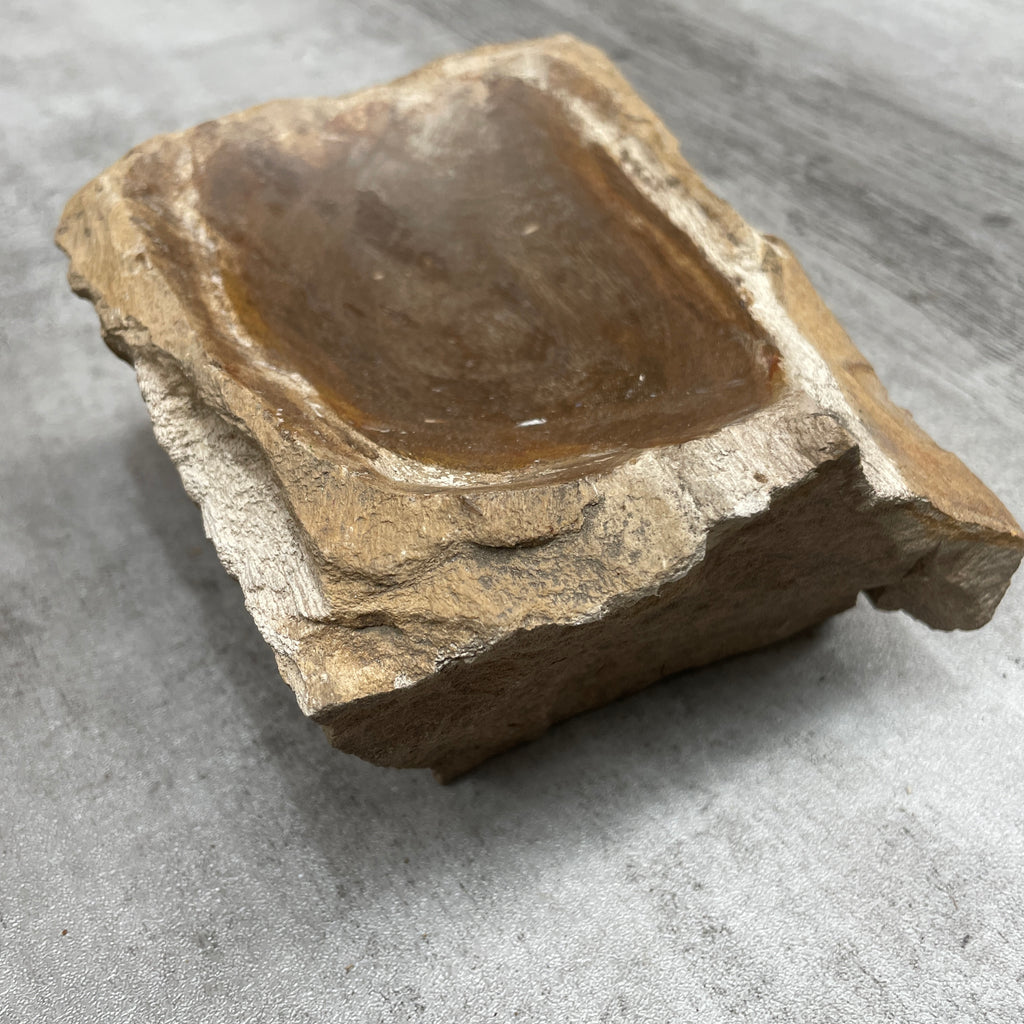 Raw Petrified Wood Natural Stone Luxury Dish & Bowl (PD14) – StoneBase